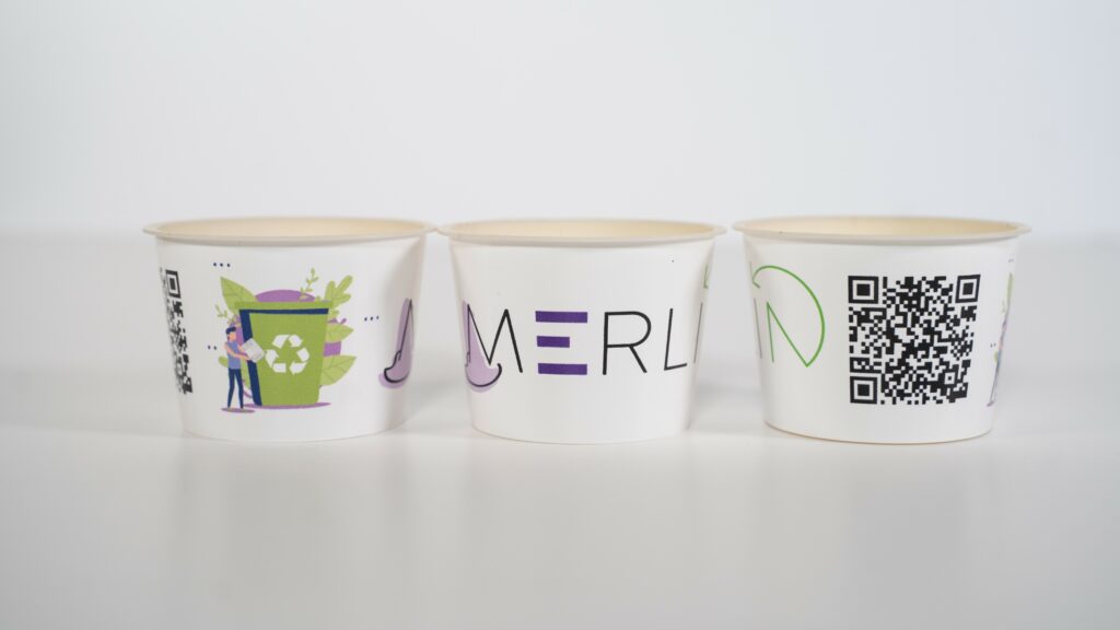 MERLIN: Increasing the quality and rate of MultilayER packaging ...