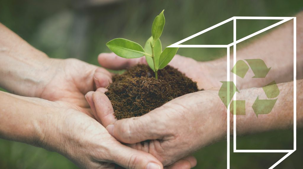 ITENE obtains DIN CERTCO certification for compostability testing Home