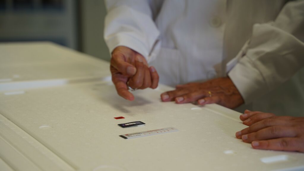 SUREFISH: Fomentar el pescado mediterráneo garantizando su trazabilidad ...