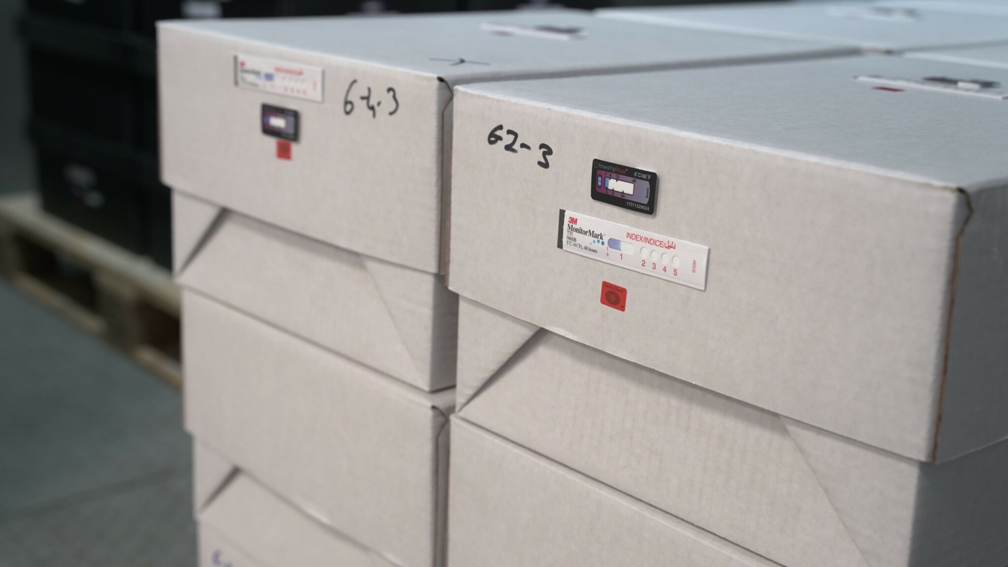 SUREFISH: Fostering Mediterranean fish ensuring traceability and ...