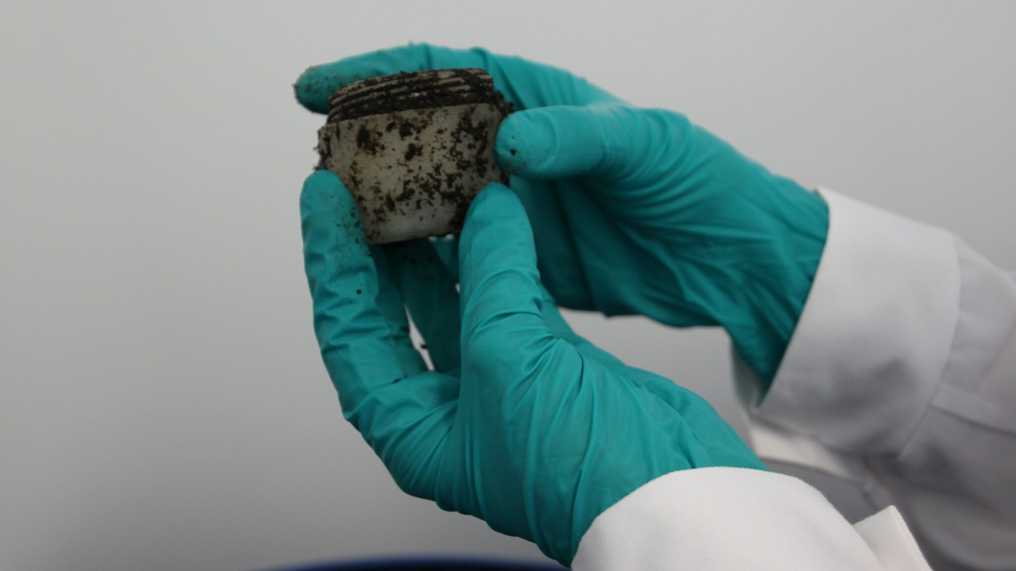 Cuáles son las diferencias entre biodegradable y compostable