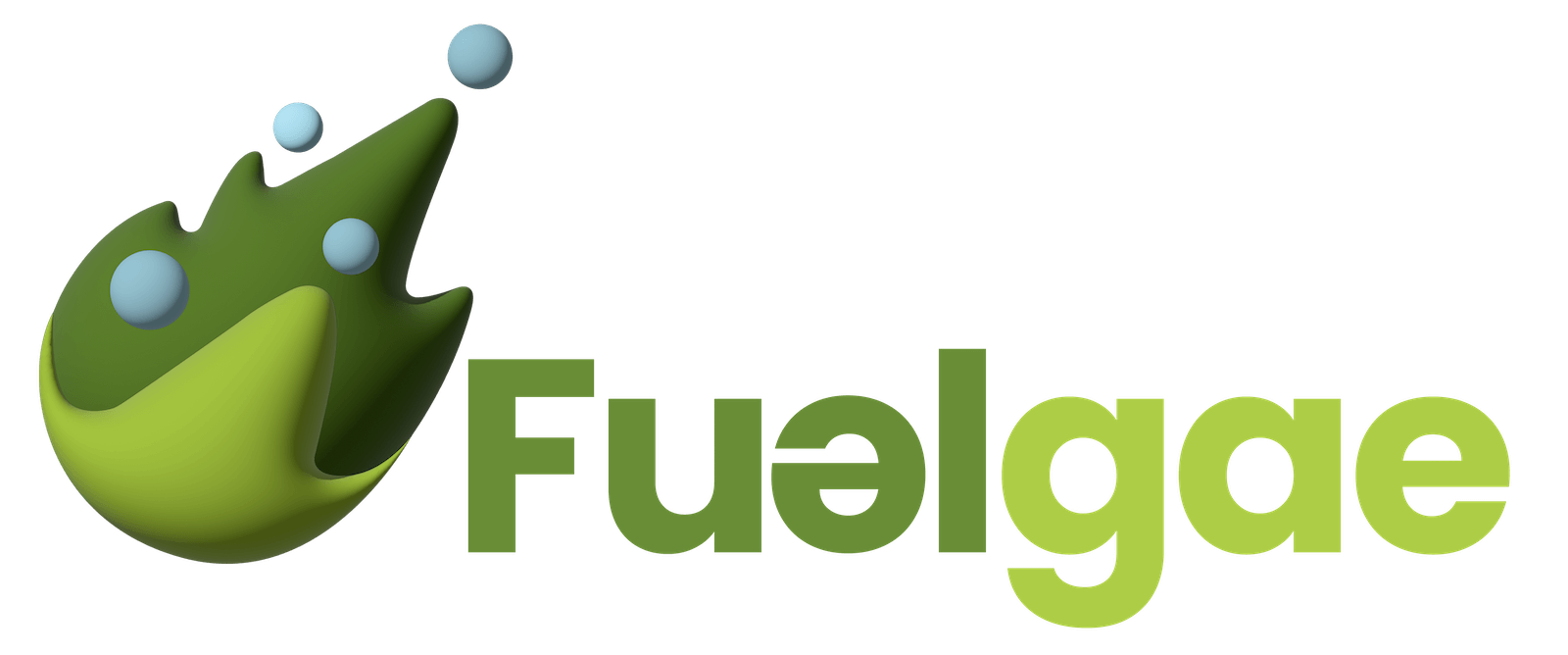 FUELGAE: Advanced Transport BioFuels from Microalgae