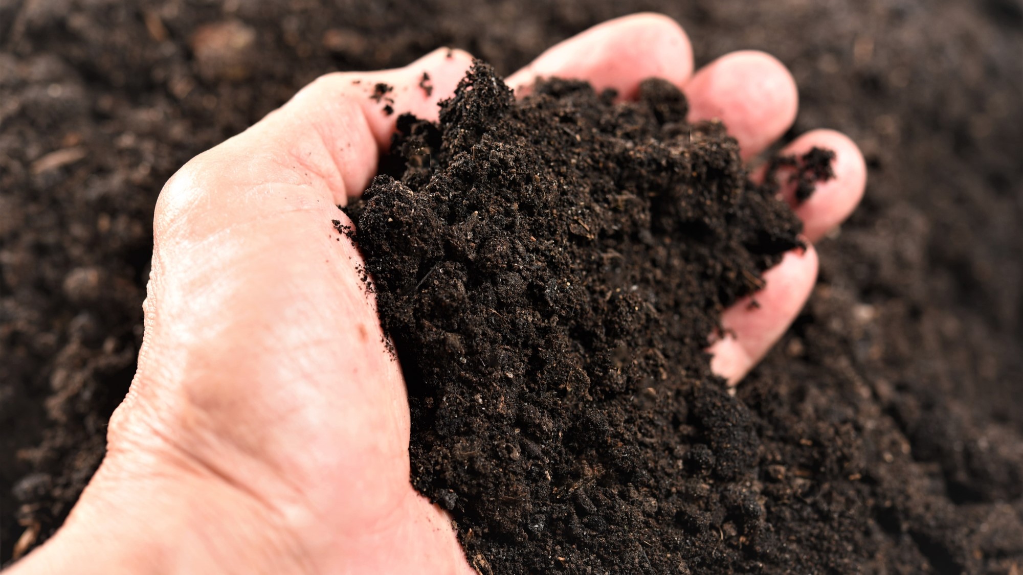 Home and Industrial Compostability: Differences and Testing